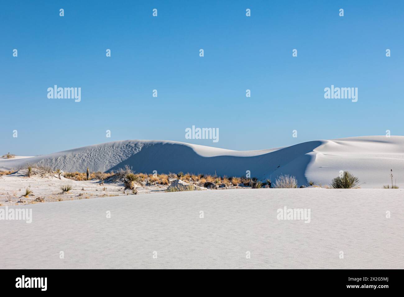 Gypsum dunefields at White Sands National Monument located within the ...
