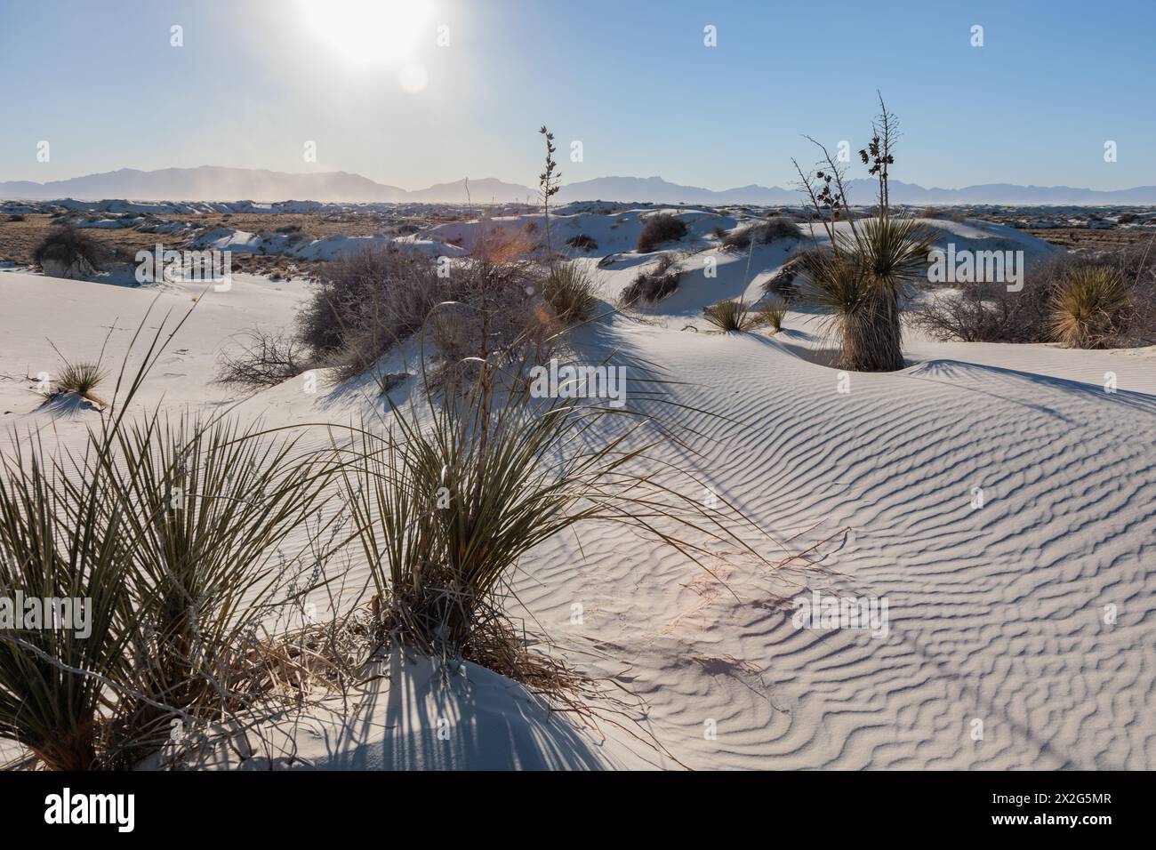 Gypsum dunefields at White Sands National Monument located within the ...