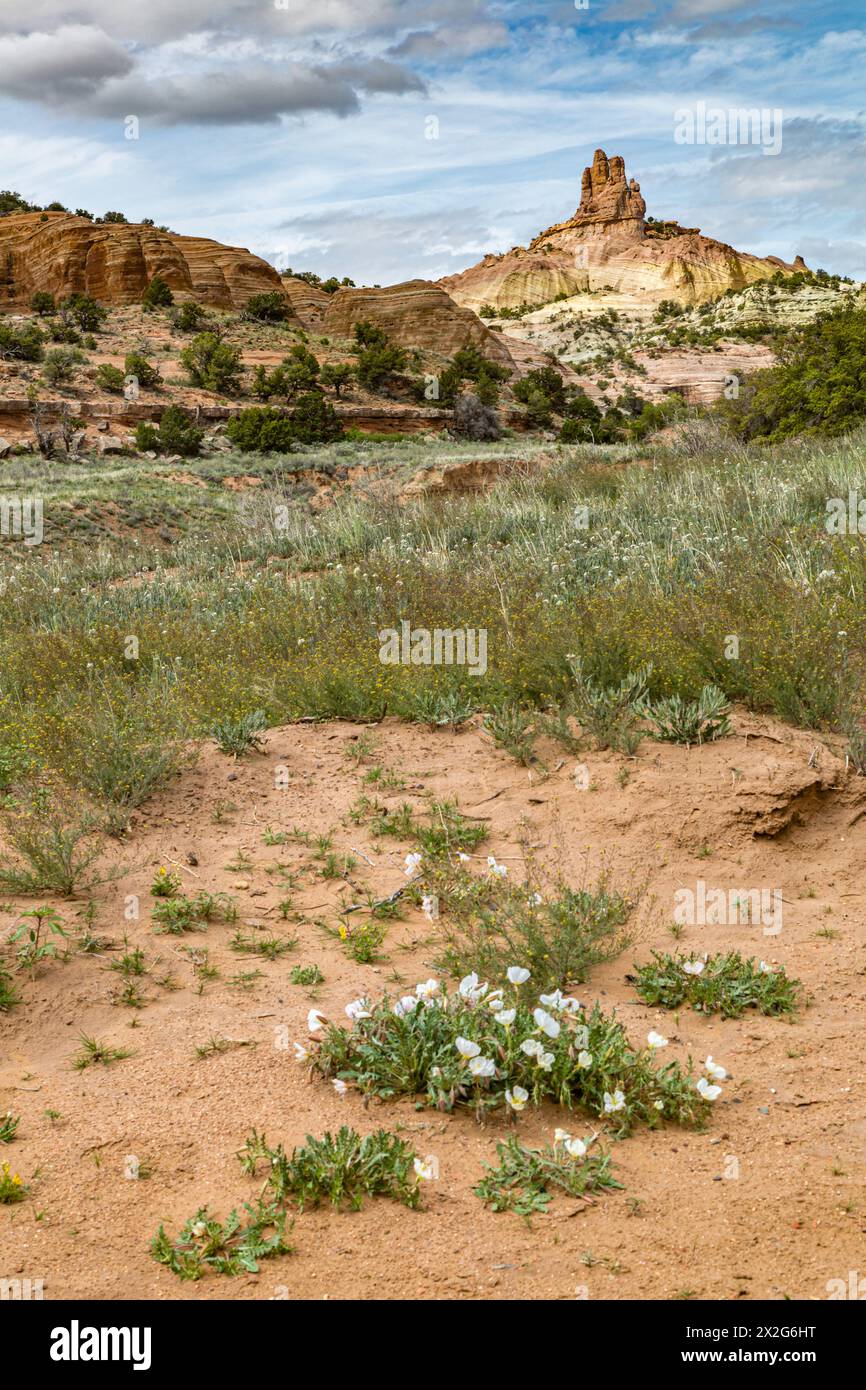 Church Rock sandstone rock formation in Red Rock Park at Churchrock ...