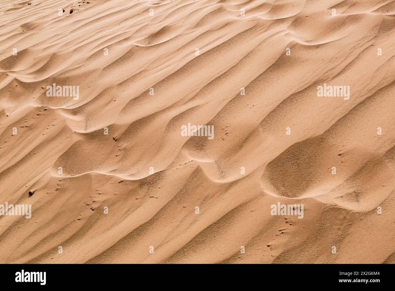 Abstract patterns in drifted sand along a trail in Red Rock Park at ...