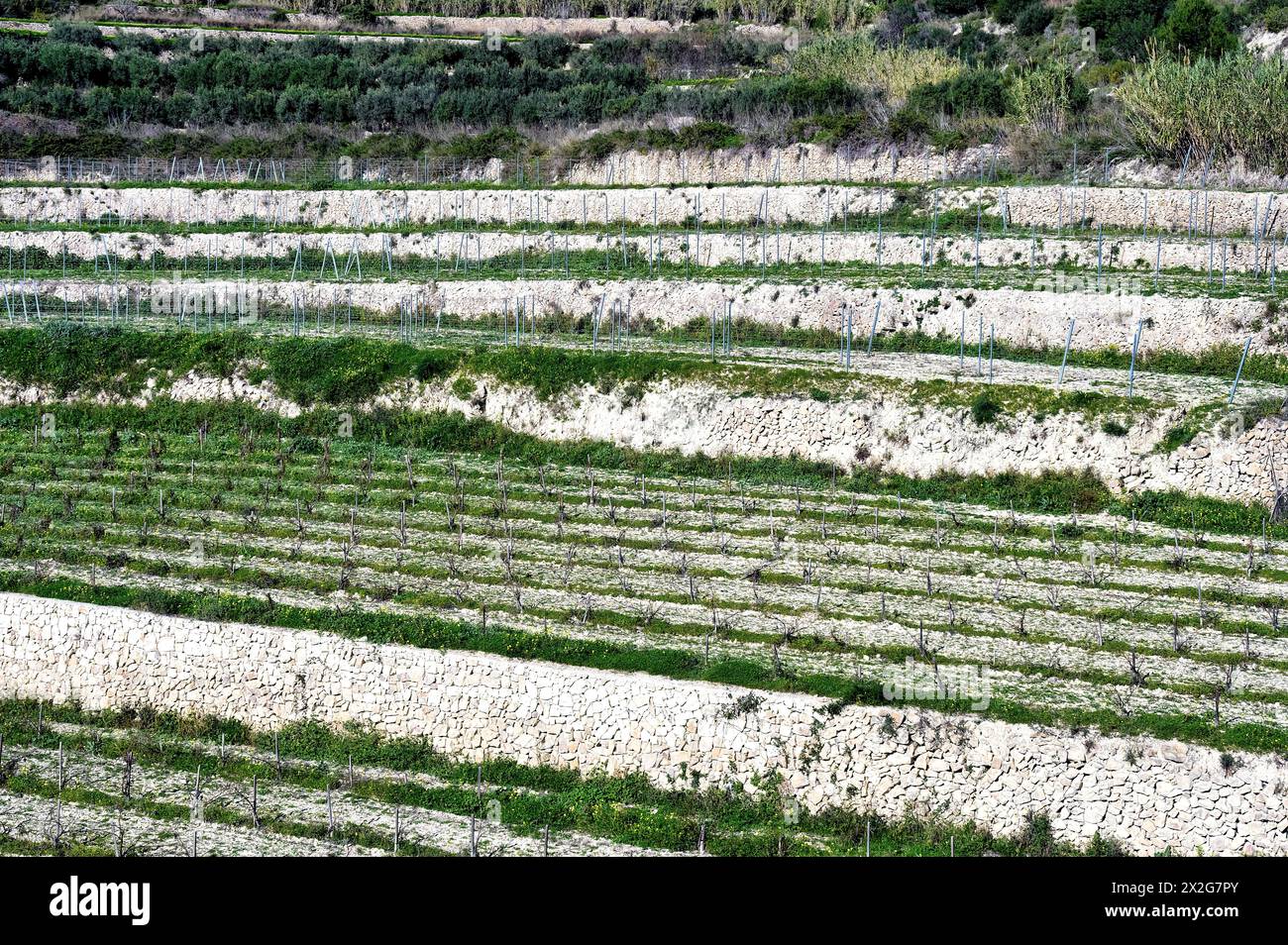 Terraced agriculture desert hi-res stock photography and images - Alamy