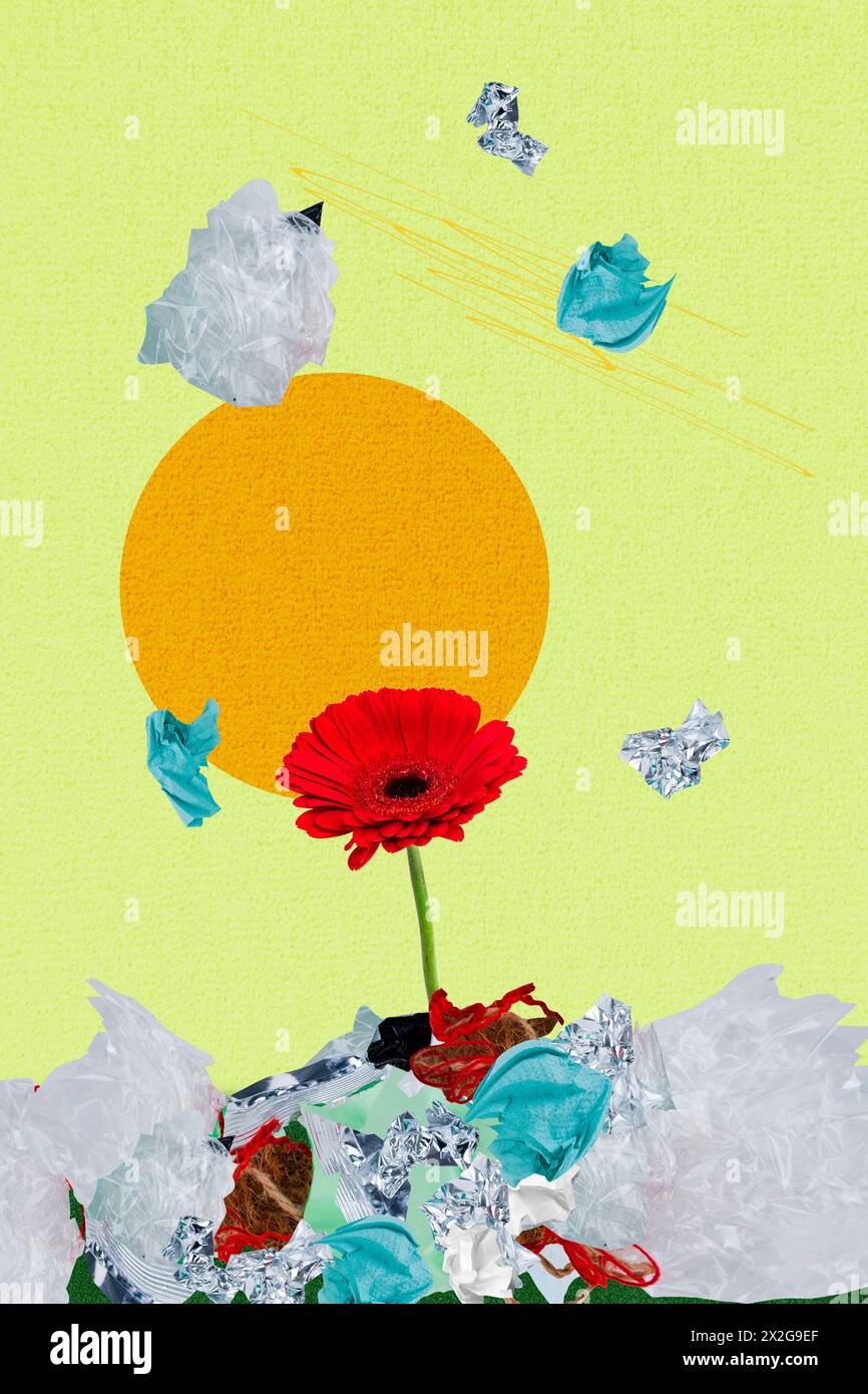 Vertical photo collage of beautiful red gerbera flower pile trash ...