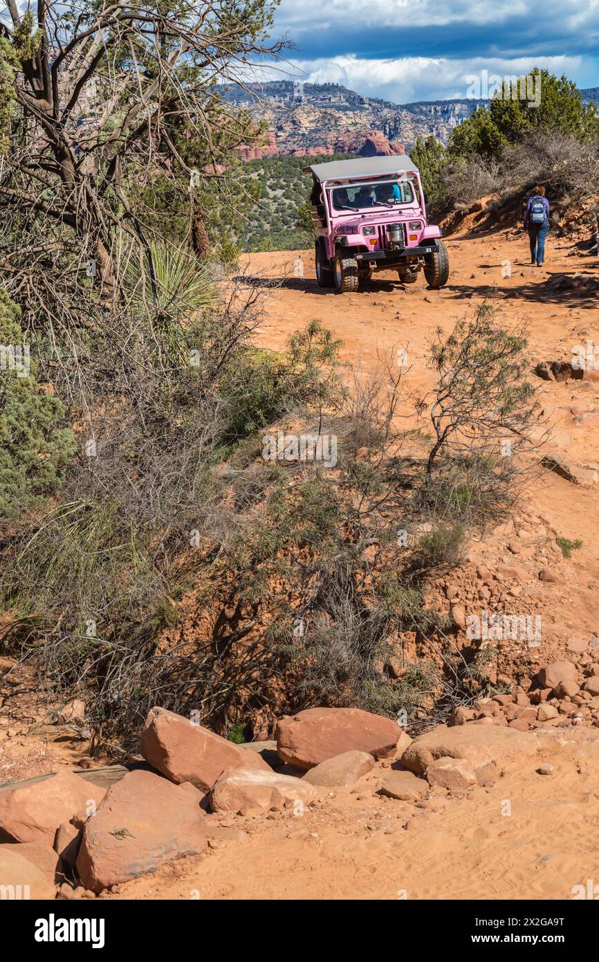 Pink jeep from Pink Jeep Tours passes hikers along the rough road used ...