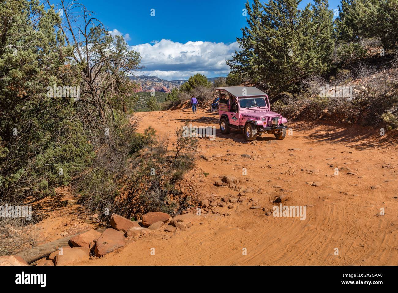 Pink jeep from Pink Jeep Tours passes hikers along the rough road used ...