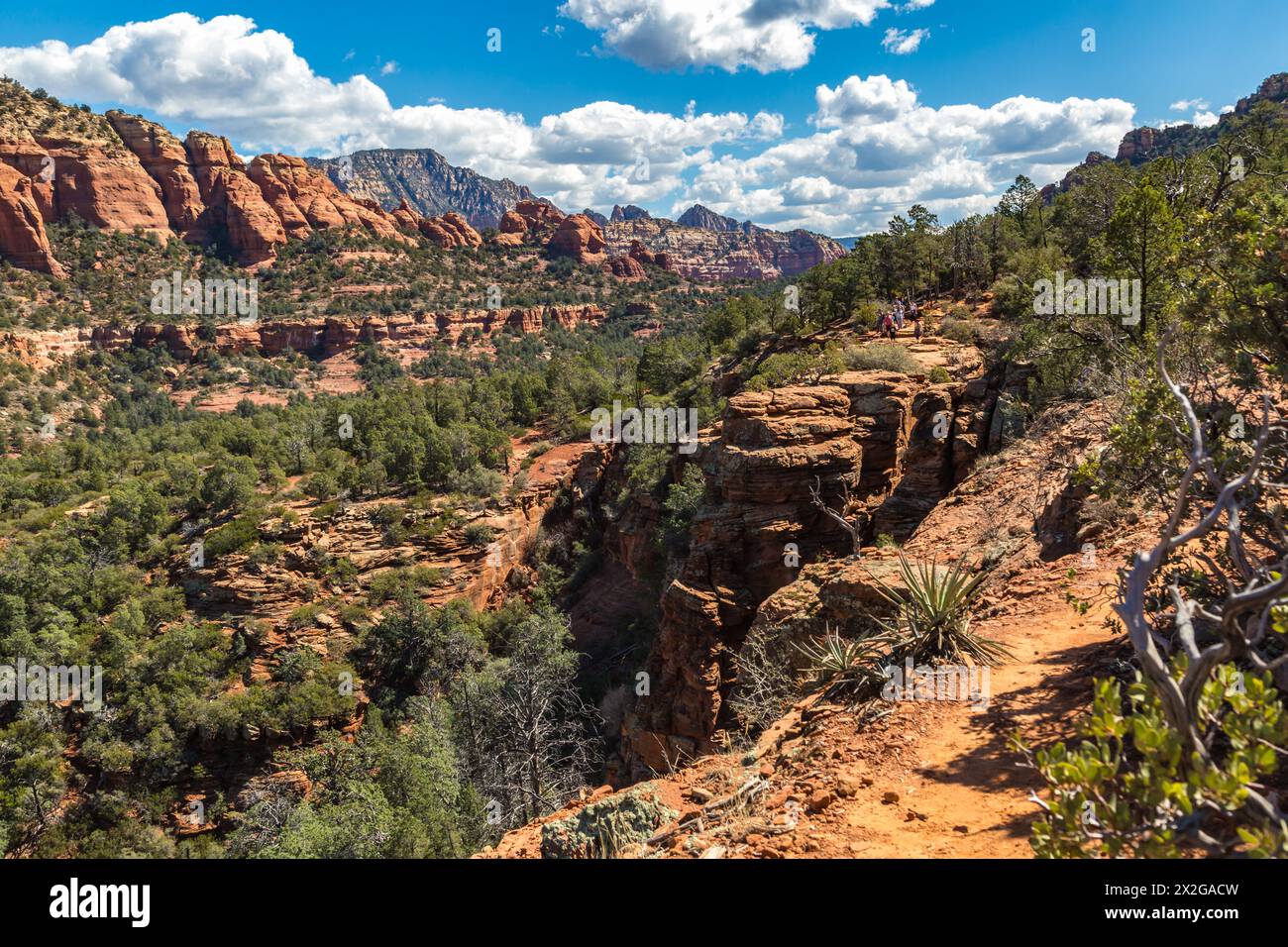 Hikers climb to the top of a red rock sandstone formation along the ...