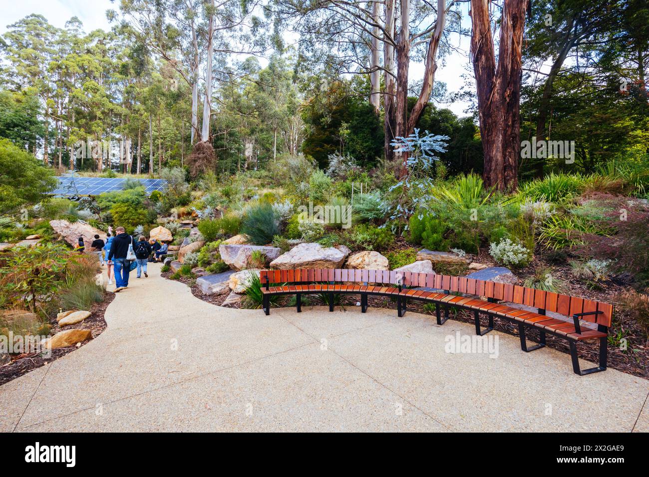 Dandenong Ranges Botanic Garden in Olinda Australia Stock Photo - Alamy
