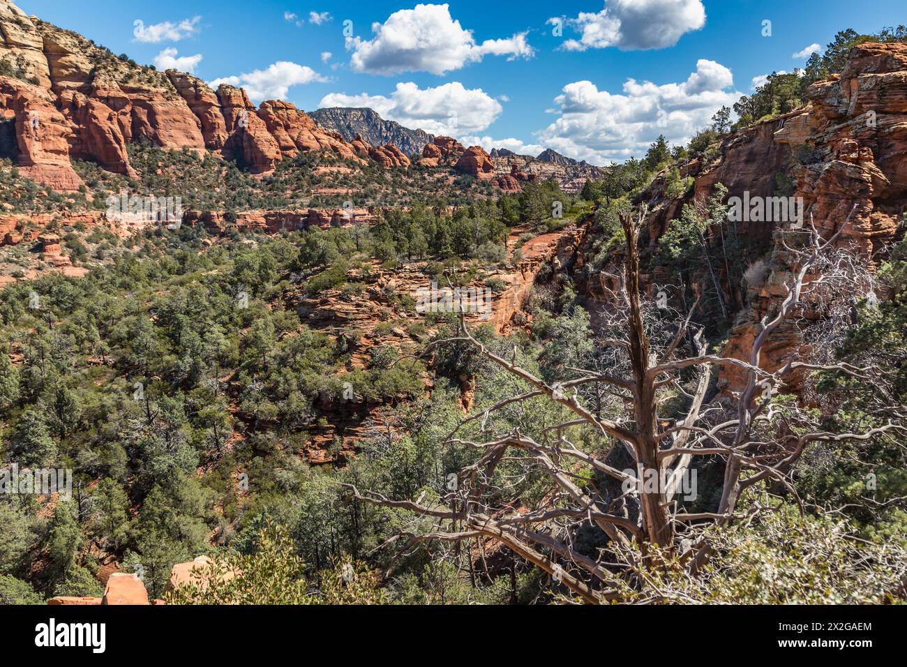 Red rock sandstone formations seen along the Devil's Bridge Trail in ...