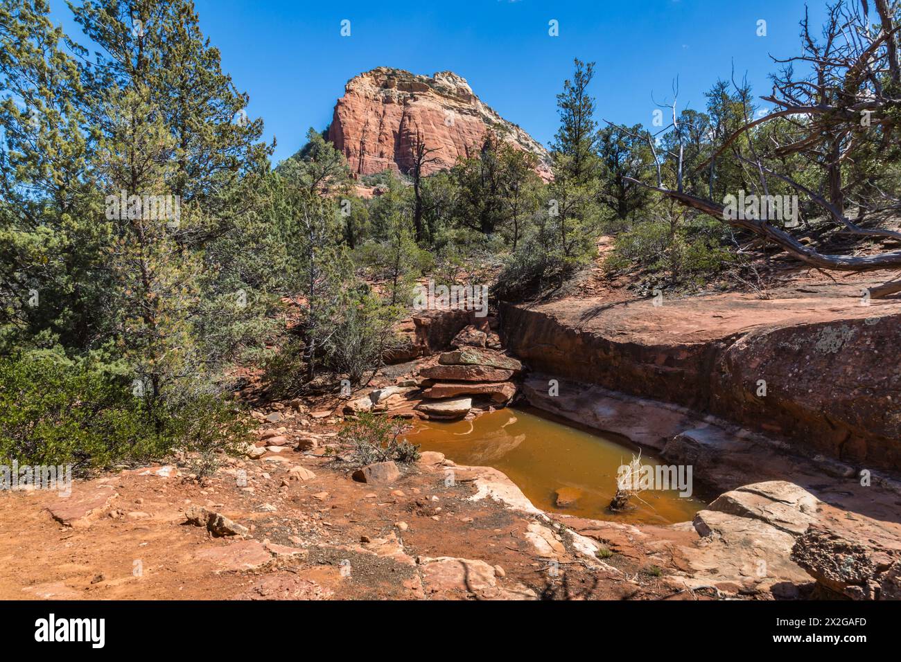 Pooling water along a hiking trail in Sedona, Arizona Stock Photo - Alamy
