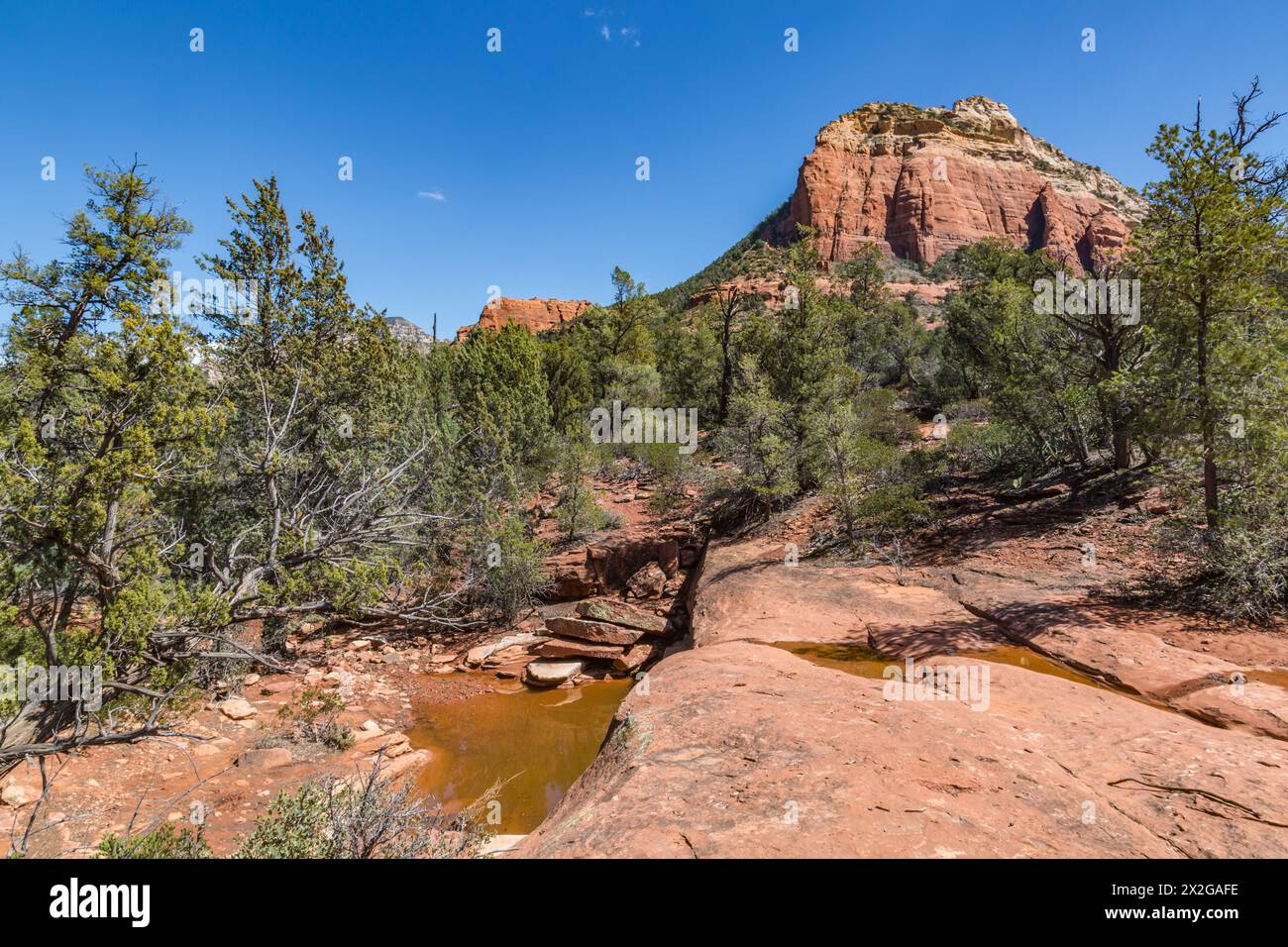 Pooling water along a hiking trail in Sedona, Arizona Stock Photo - Alamy