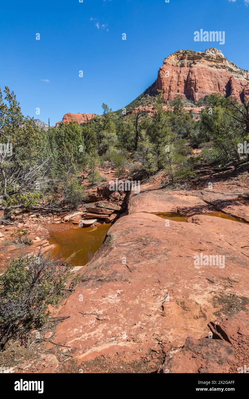 Pooling water along a hiking trail in Sedona, Arizona Stock Photo - Alamy