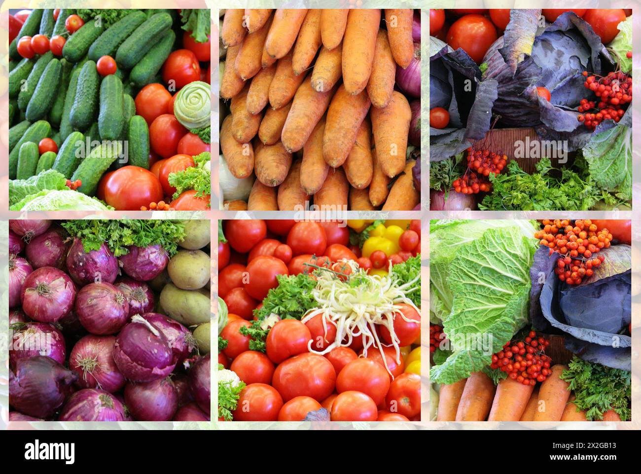 Fresh vegetable variety collage Stock Photo - Alamy