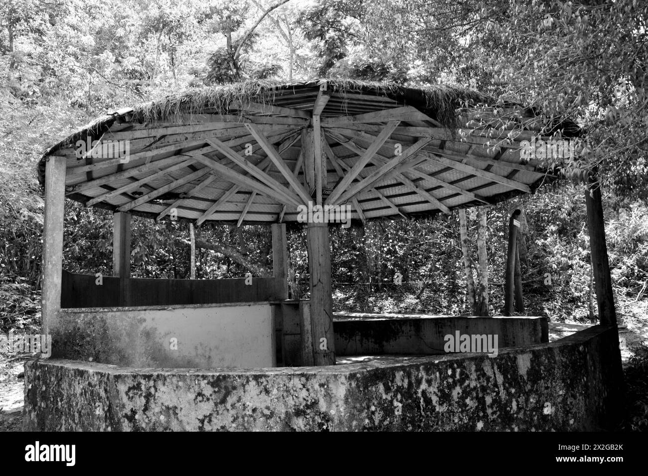 Forest area in south Black and White Stock Photos & Images - Alamy