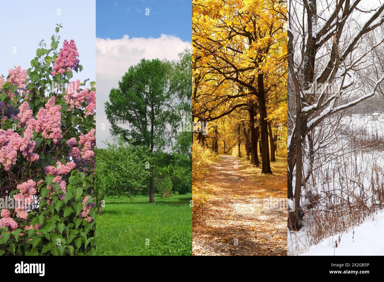 Four seasons spring summer autumn hi-res stock photography and images ...
