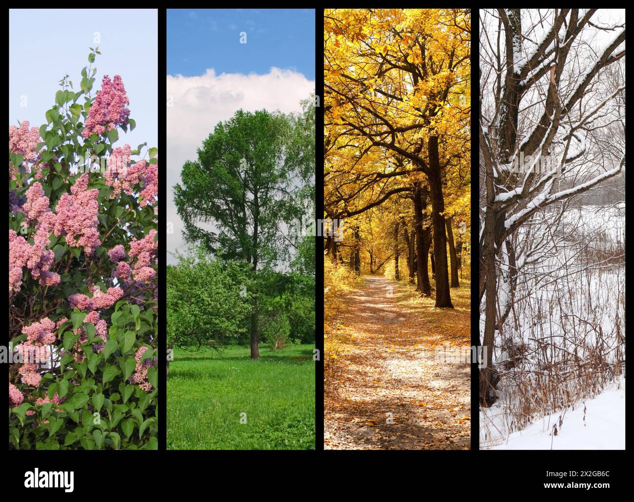 Four seasons collage spring summer hi-res stock photography and images ...