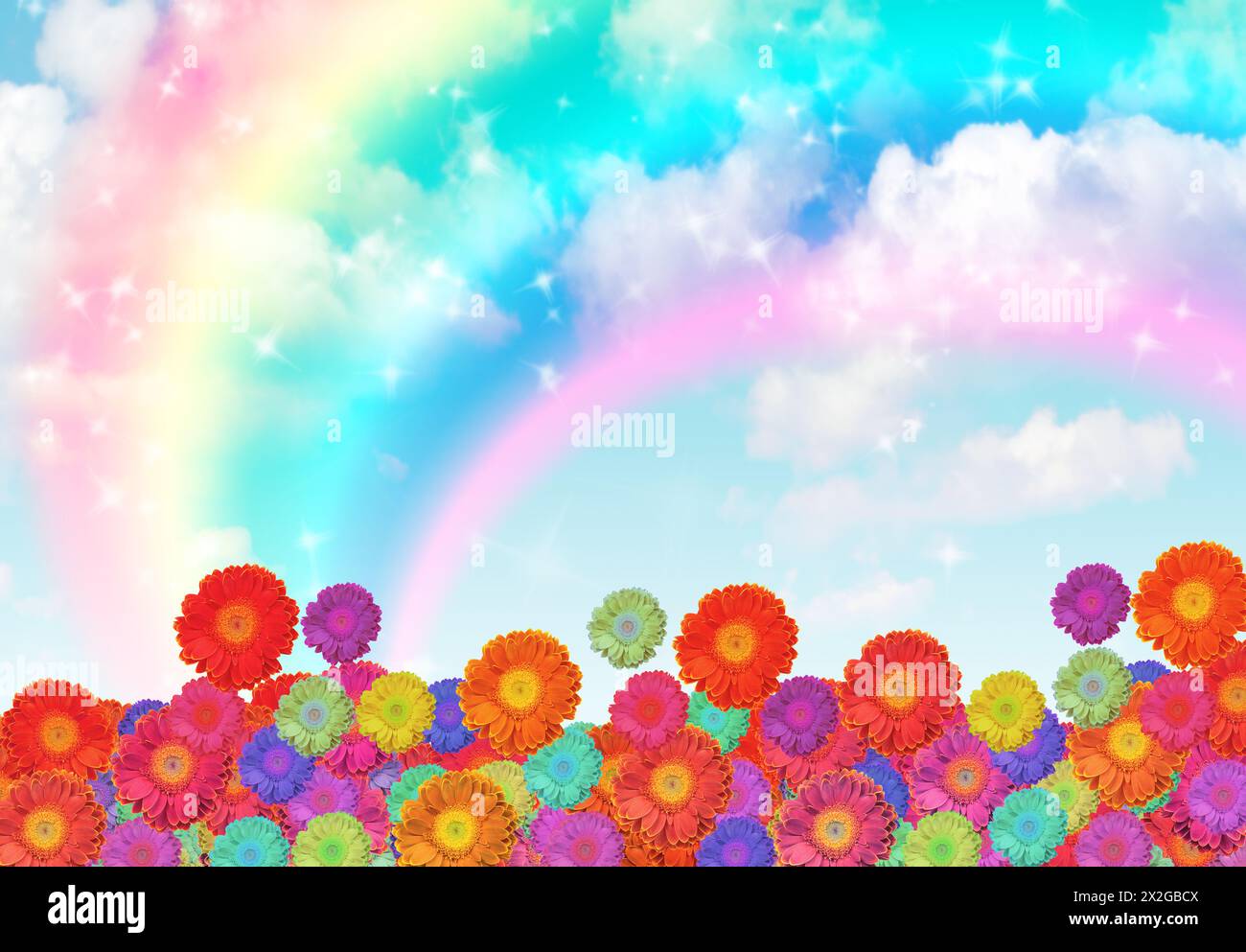 Rainbow Flower Collage