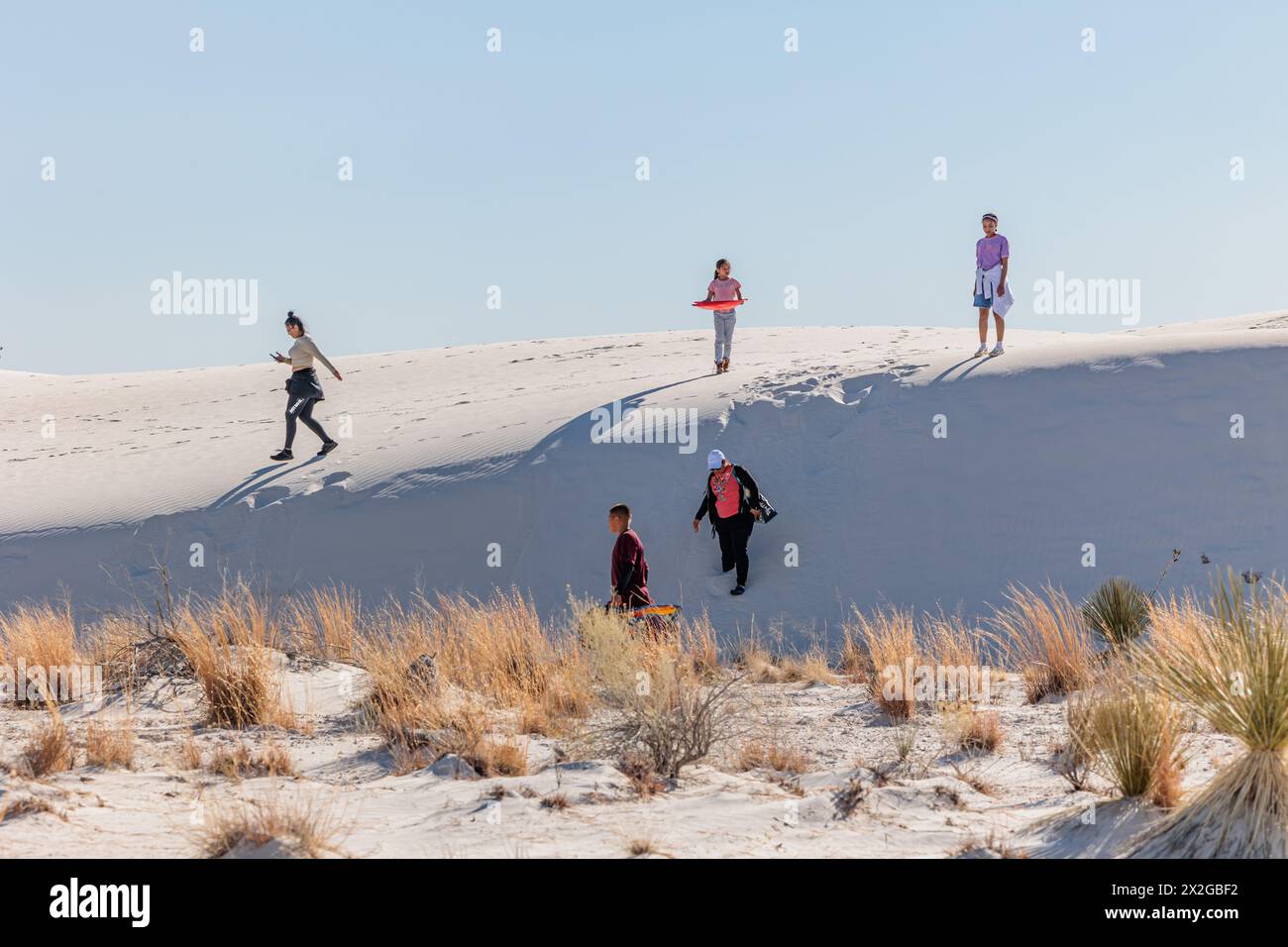 Gypsum dunefields at White Sands National Monument located within the ...