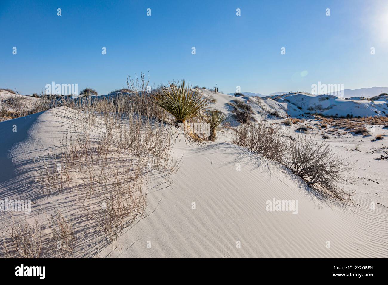 Gypsum dunefields at White Sands National Monument located within the ...