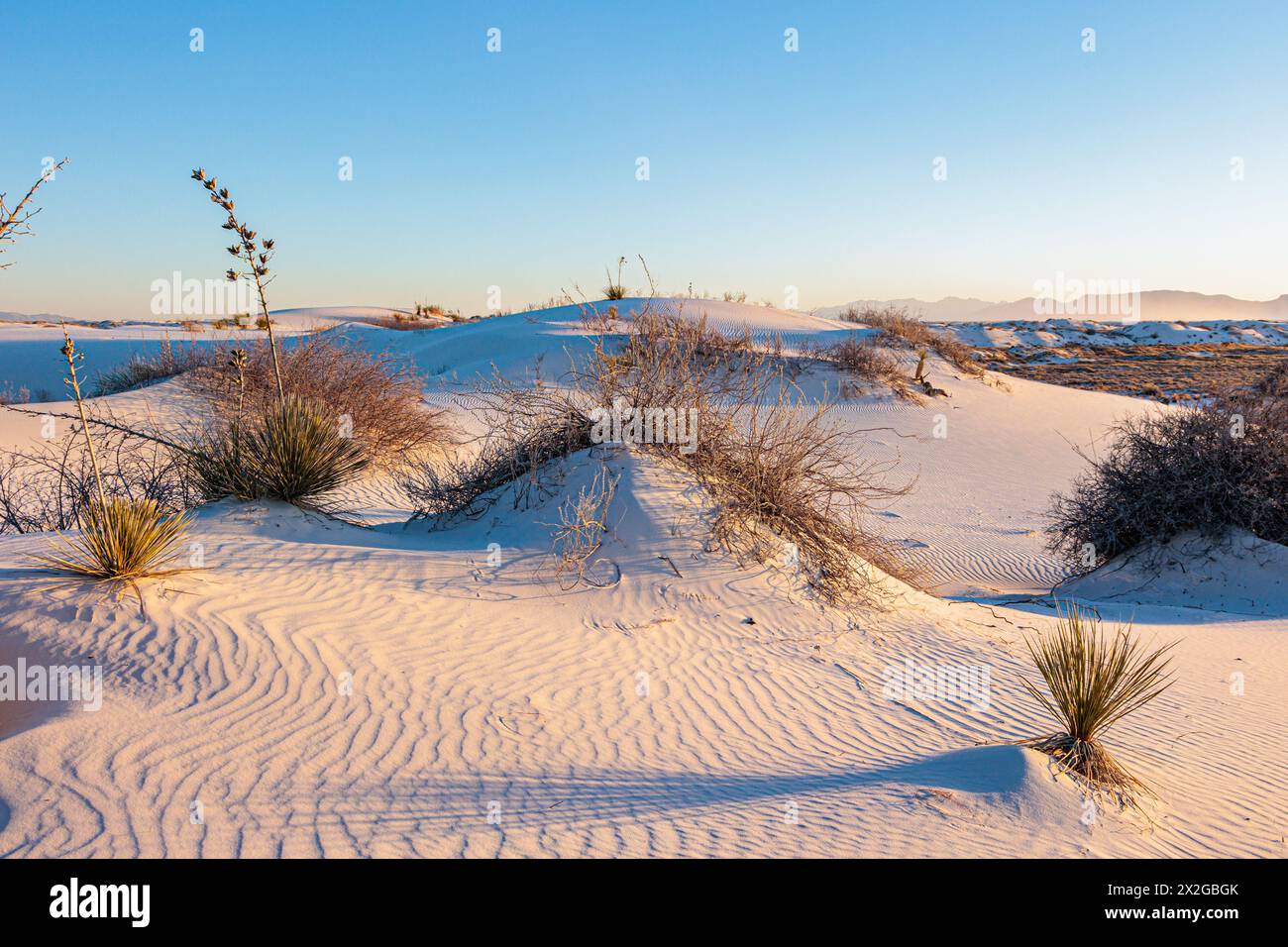 Gypsum dunefields at White Sands National Monument located within the ...