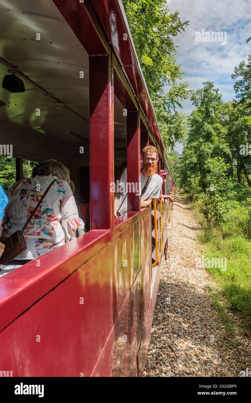 Young man leaning out the window of the open air car on the Great Smoky ...