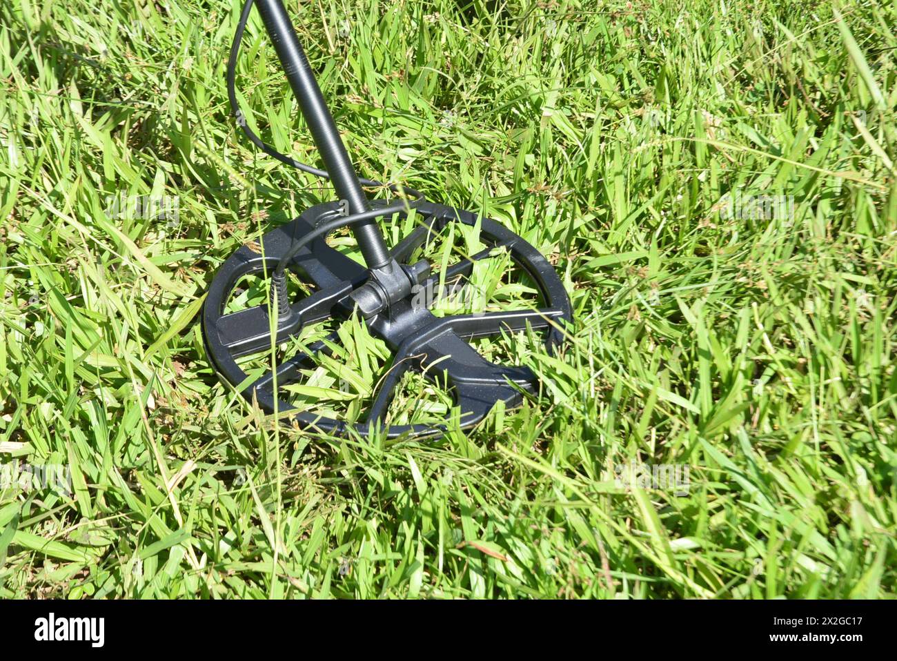 Waterproof Search Coil from a metal detector being used on a green lawn ...