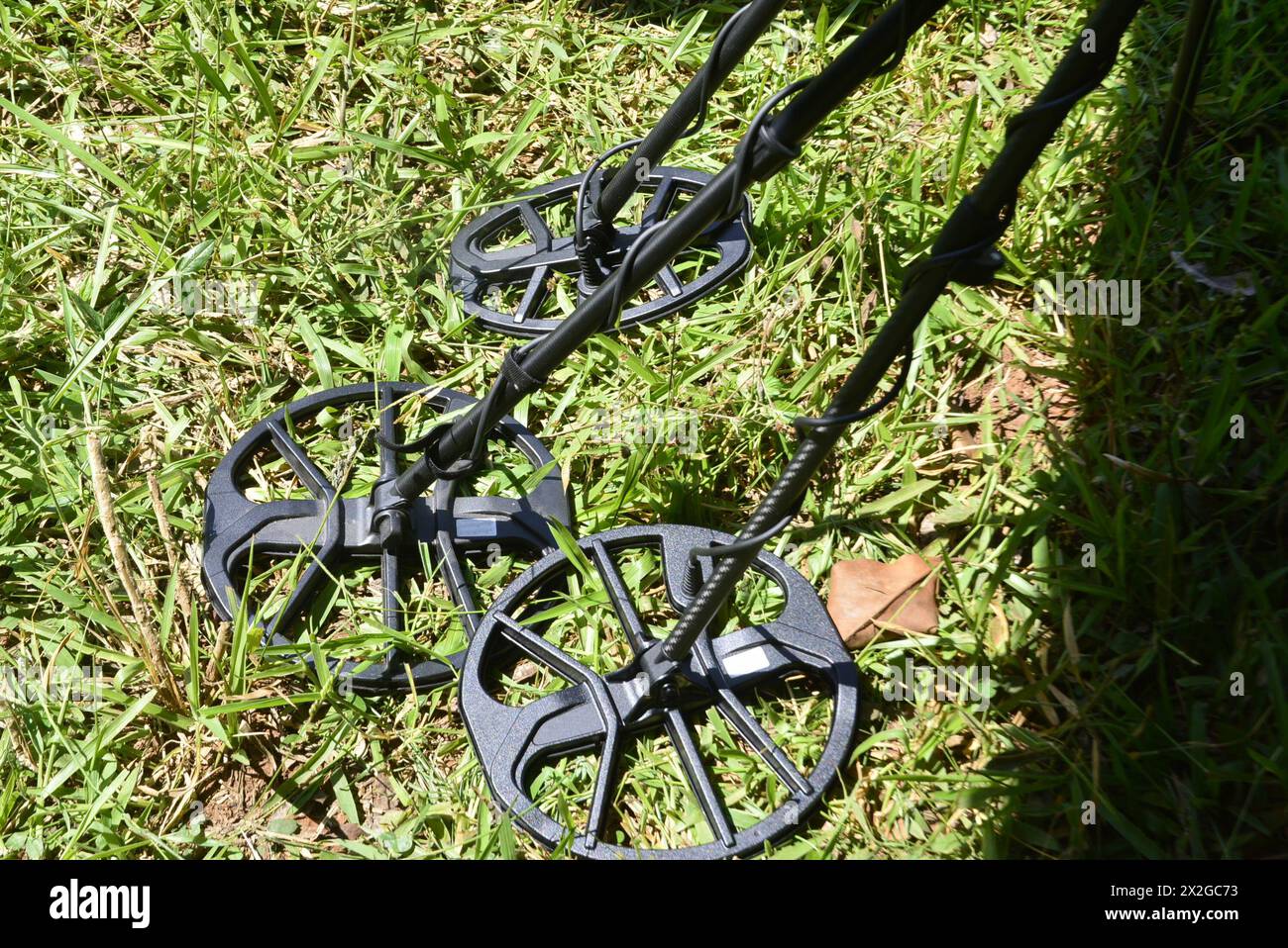 Waterproof Search Coil metal detector being used in competition in the ...