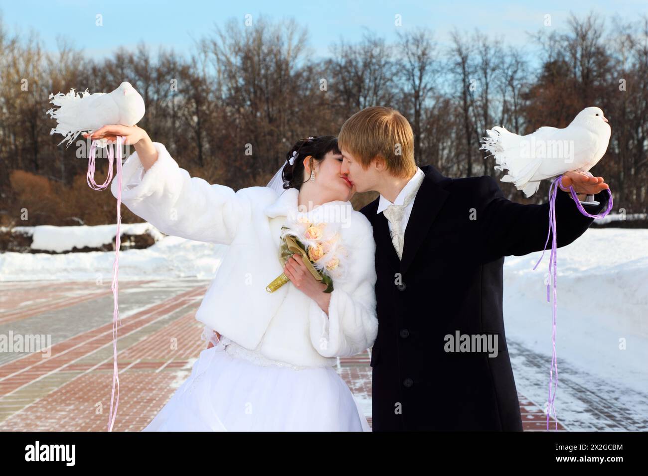 beautiful bride and groom hold white doves and kiss at winter outdoors ...