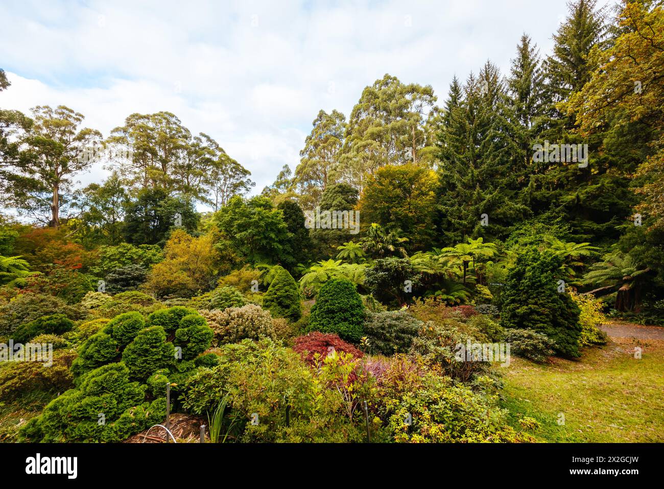 Dandenong Ranges Botanic Garden in Olinda Australia Stock Photo - Alamy