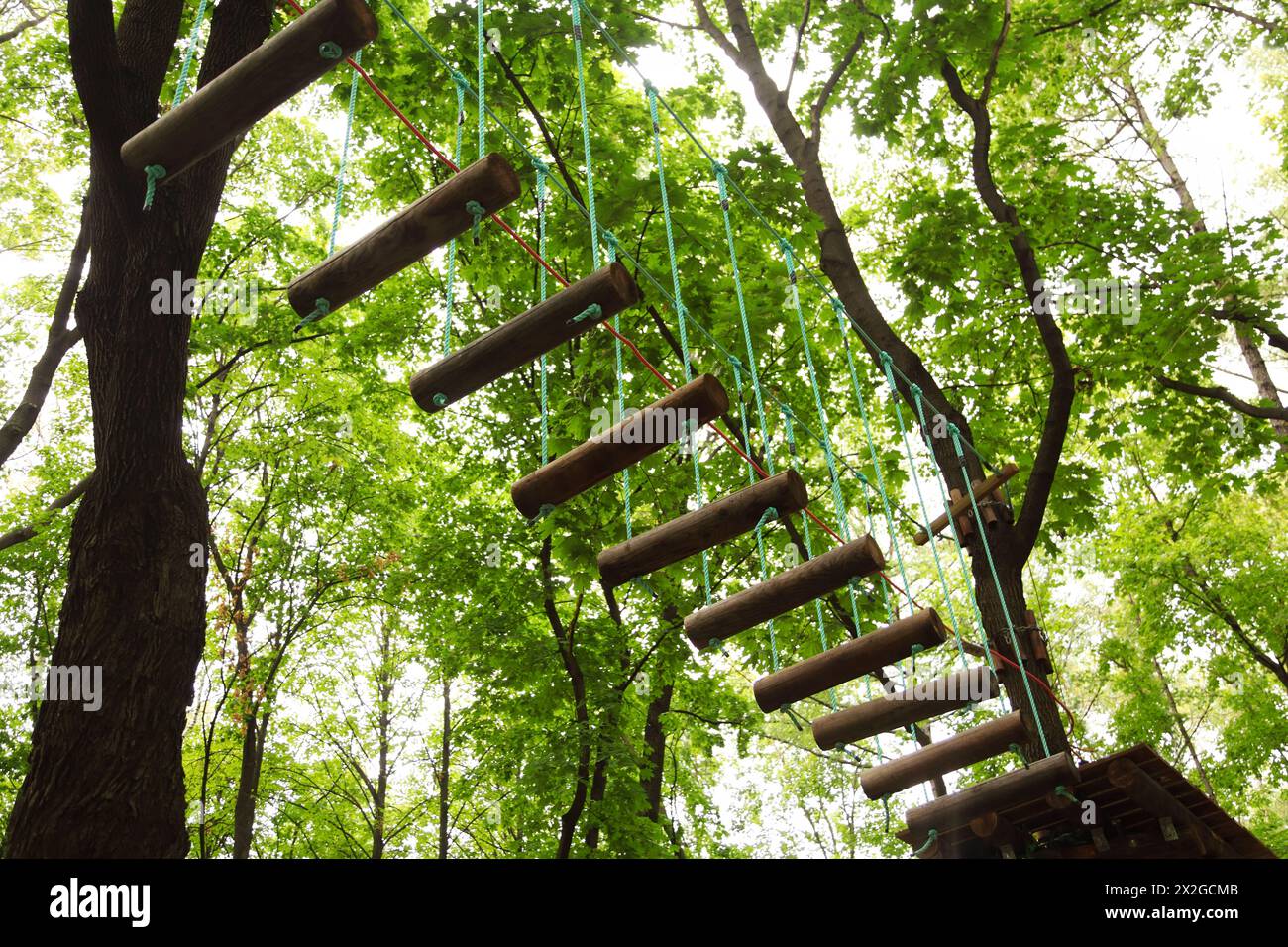 Dangerous ropeway with tether in rope park, trees with green leaves ...