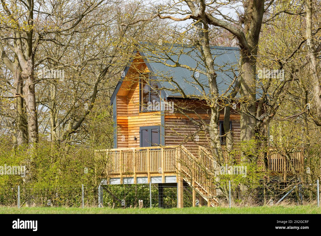 Madeira in Fife treehouses Stock Photo - Alamy