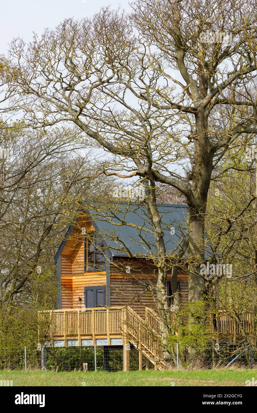 Madeira in Fife treehouses Stock Photo - Alamy