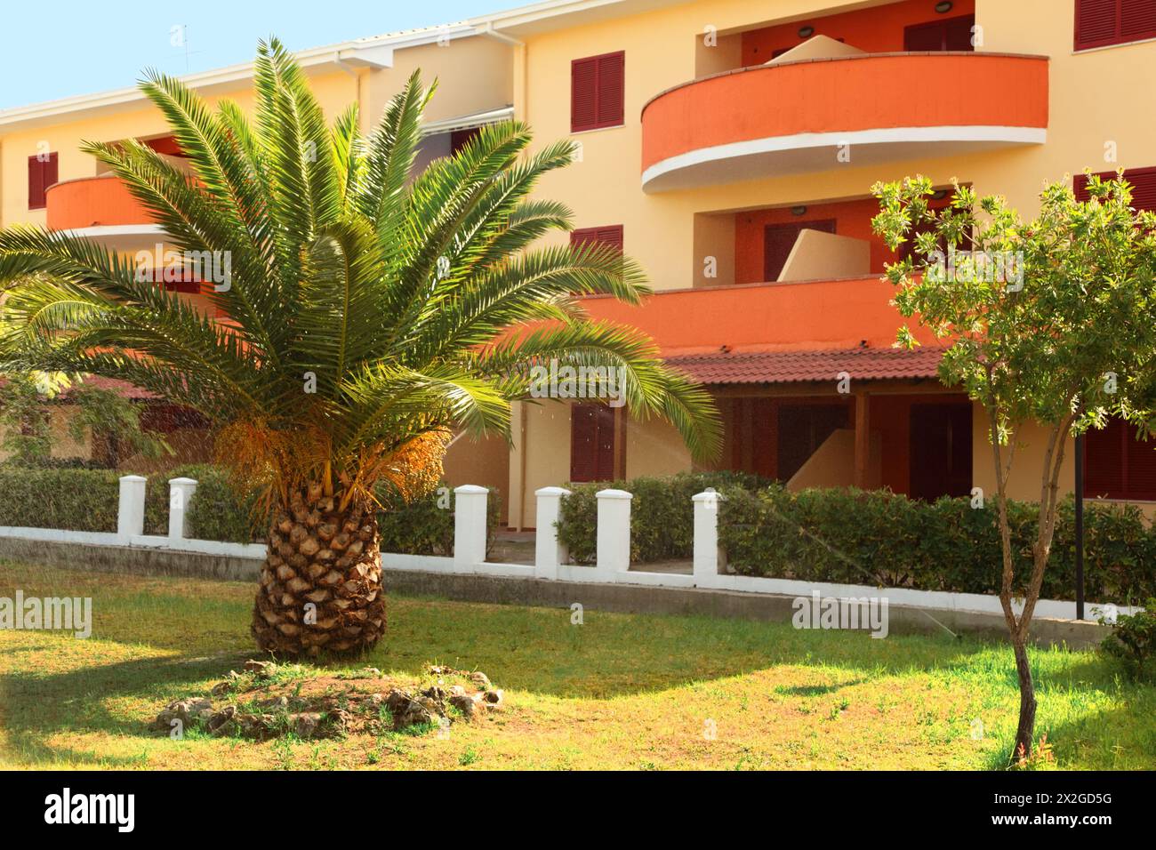 big palm tree growing near to three-story building of sanatorium ...