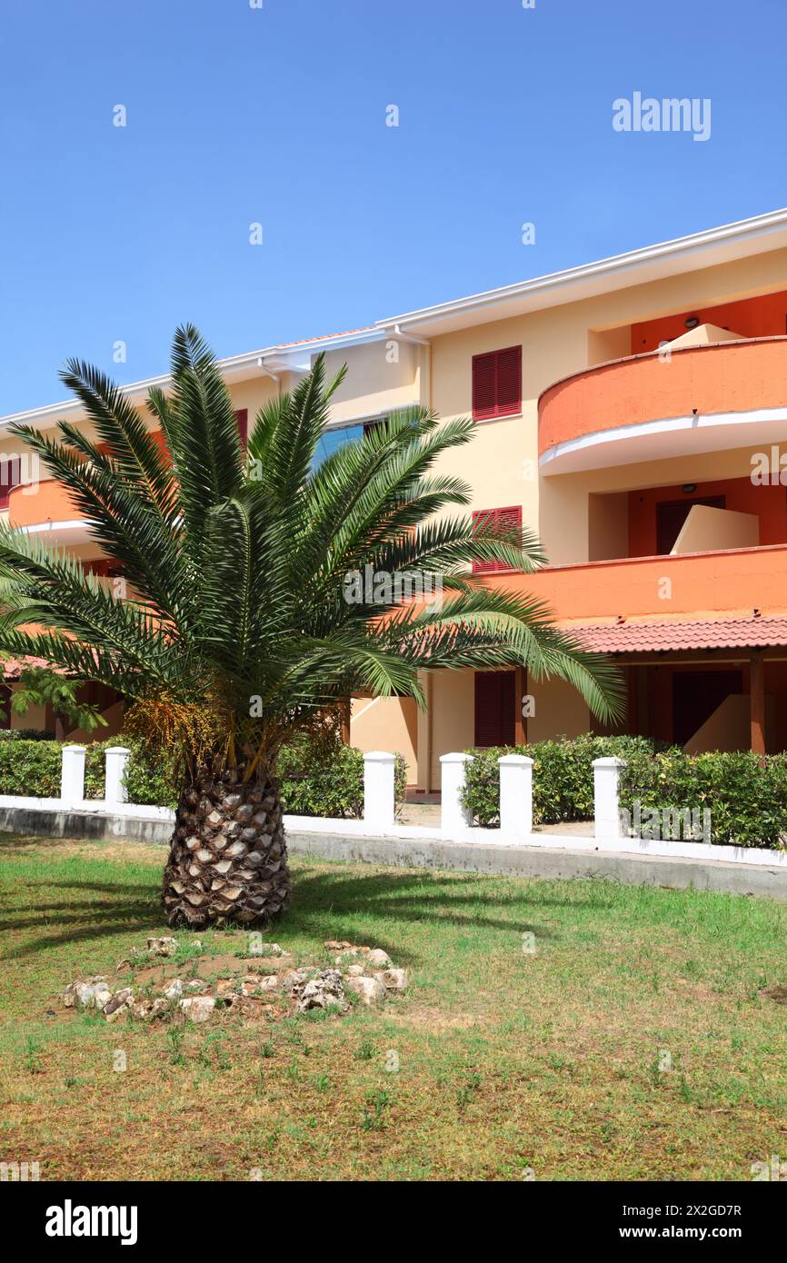 big palm tree growing near to three-story building of sanatorium ...