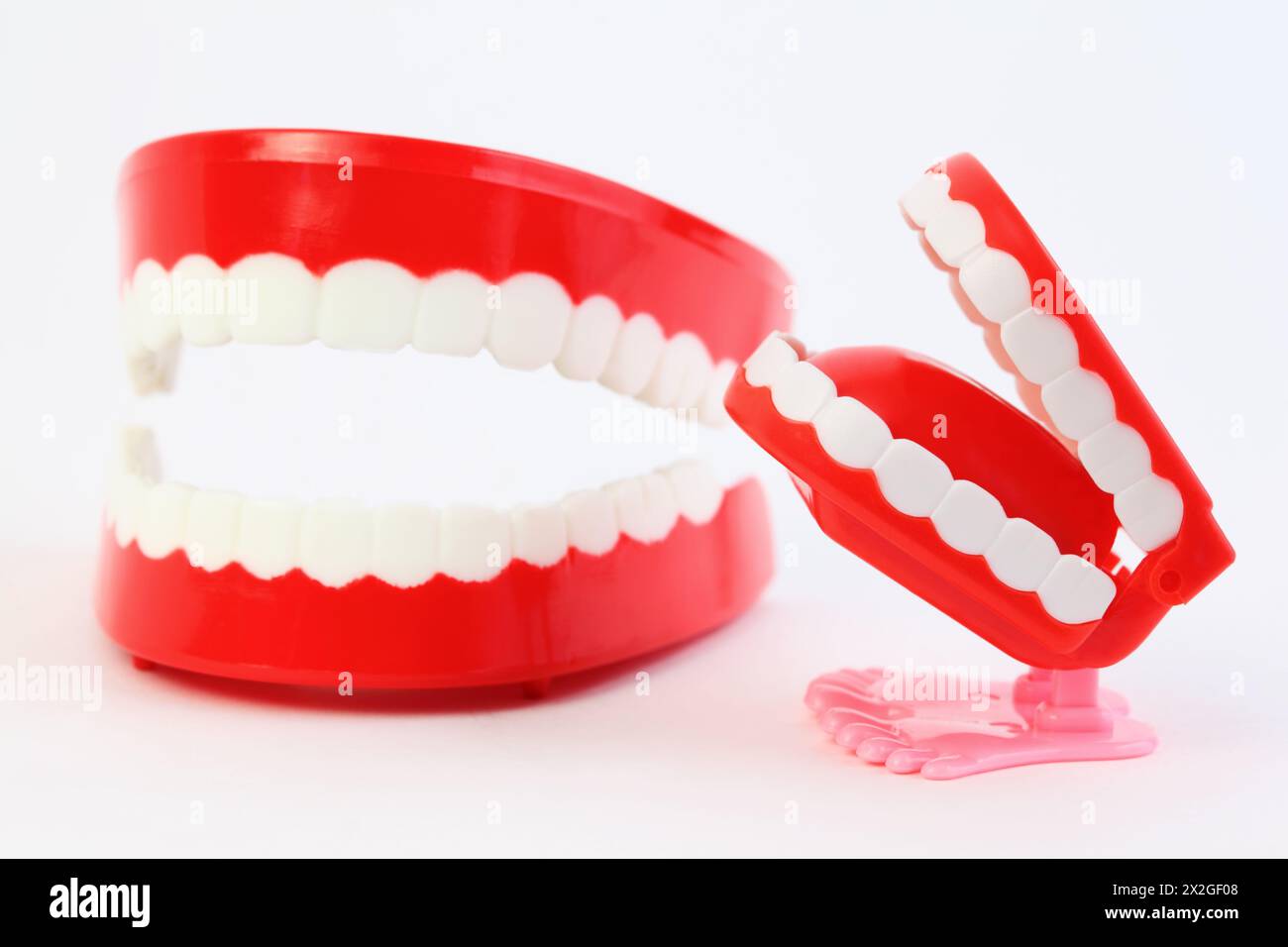 small toy jaw with legs and big jaw swallowing mechanism on white ...