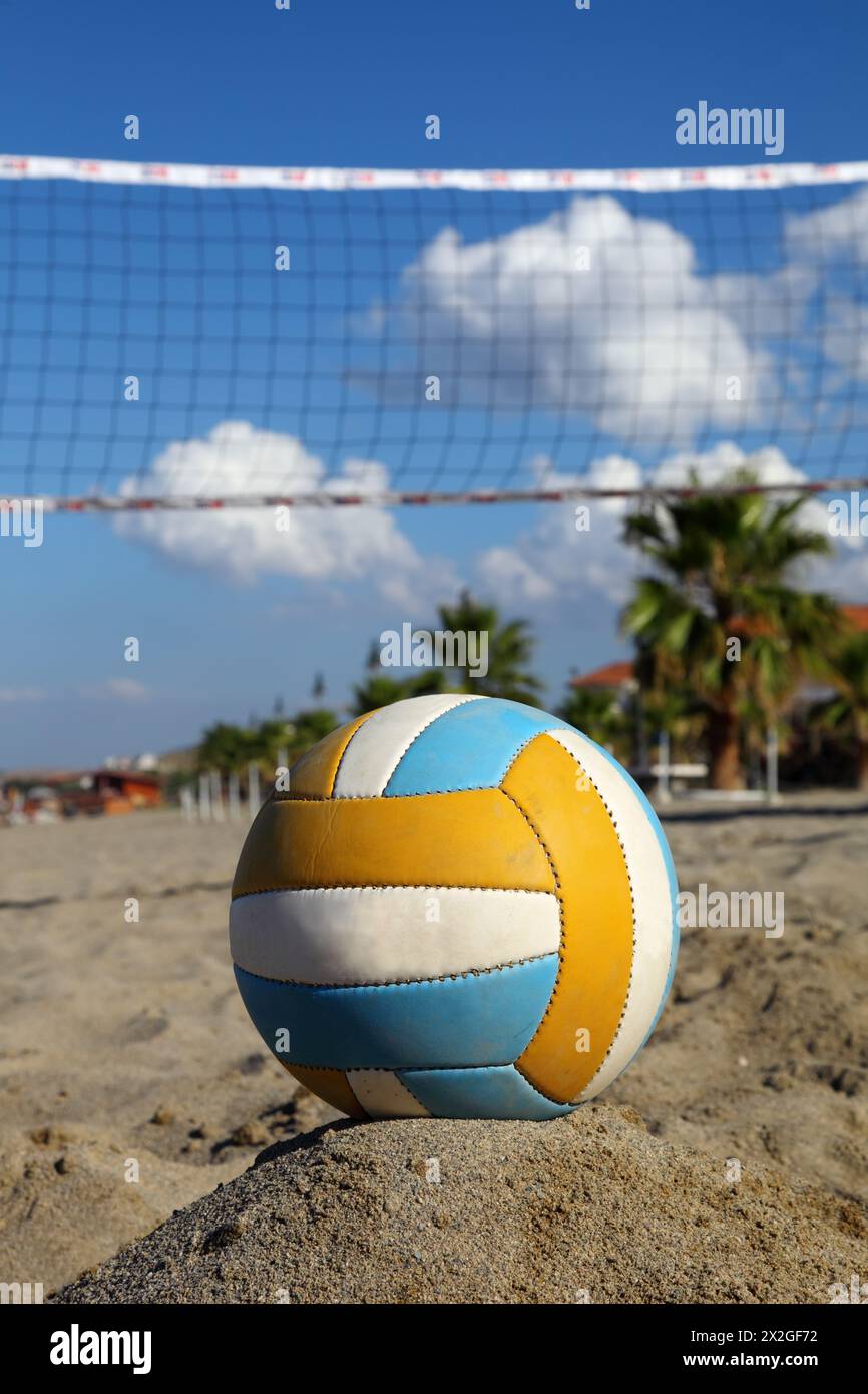 volleyball net, volleyball on beach and palm trees. focus on ball Stock ...