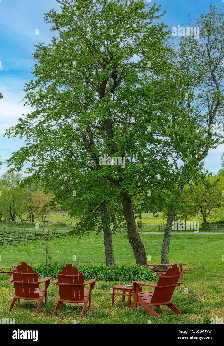 Seating under a tree hi-res stock photography and images - Alamy
