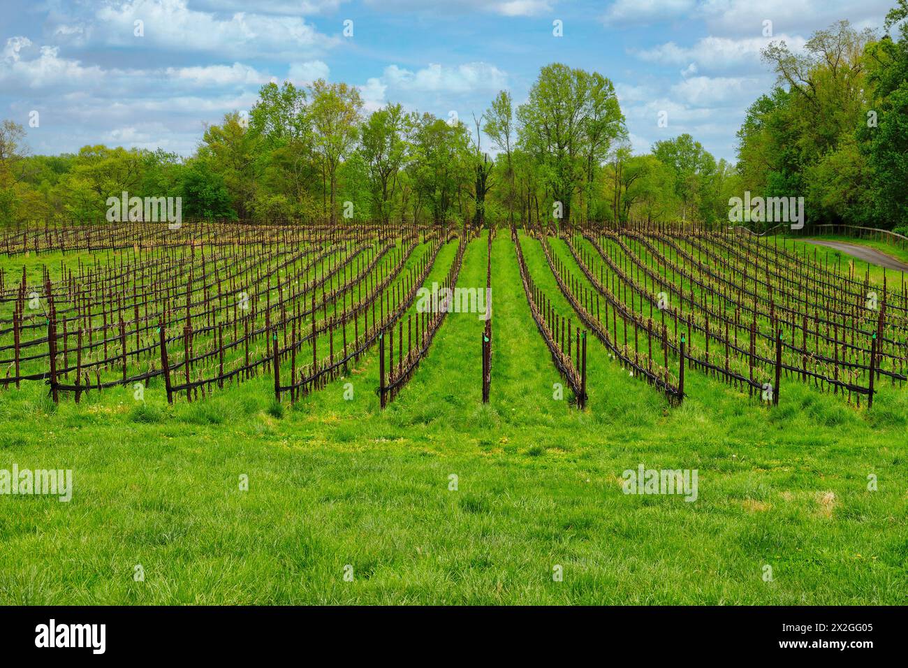 Organized in neat rows hi-res stock photography and images - Alamy
