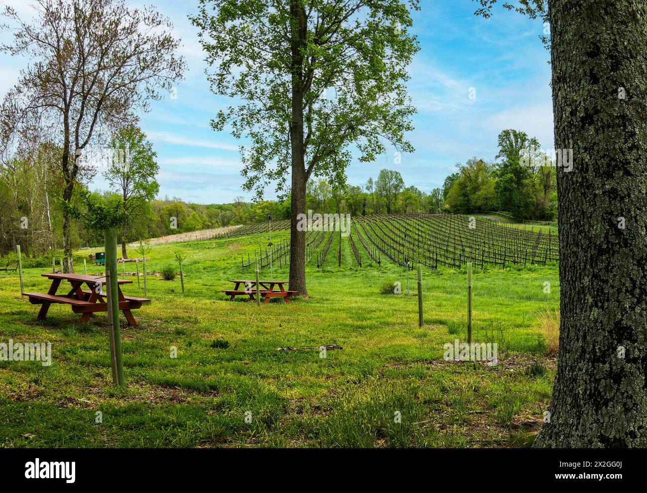 Seating under a tree hi-res stock photography and images - Alamy