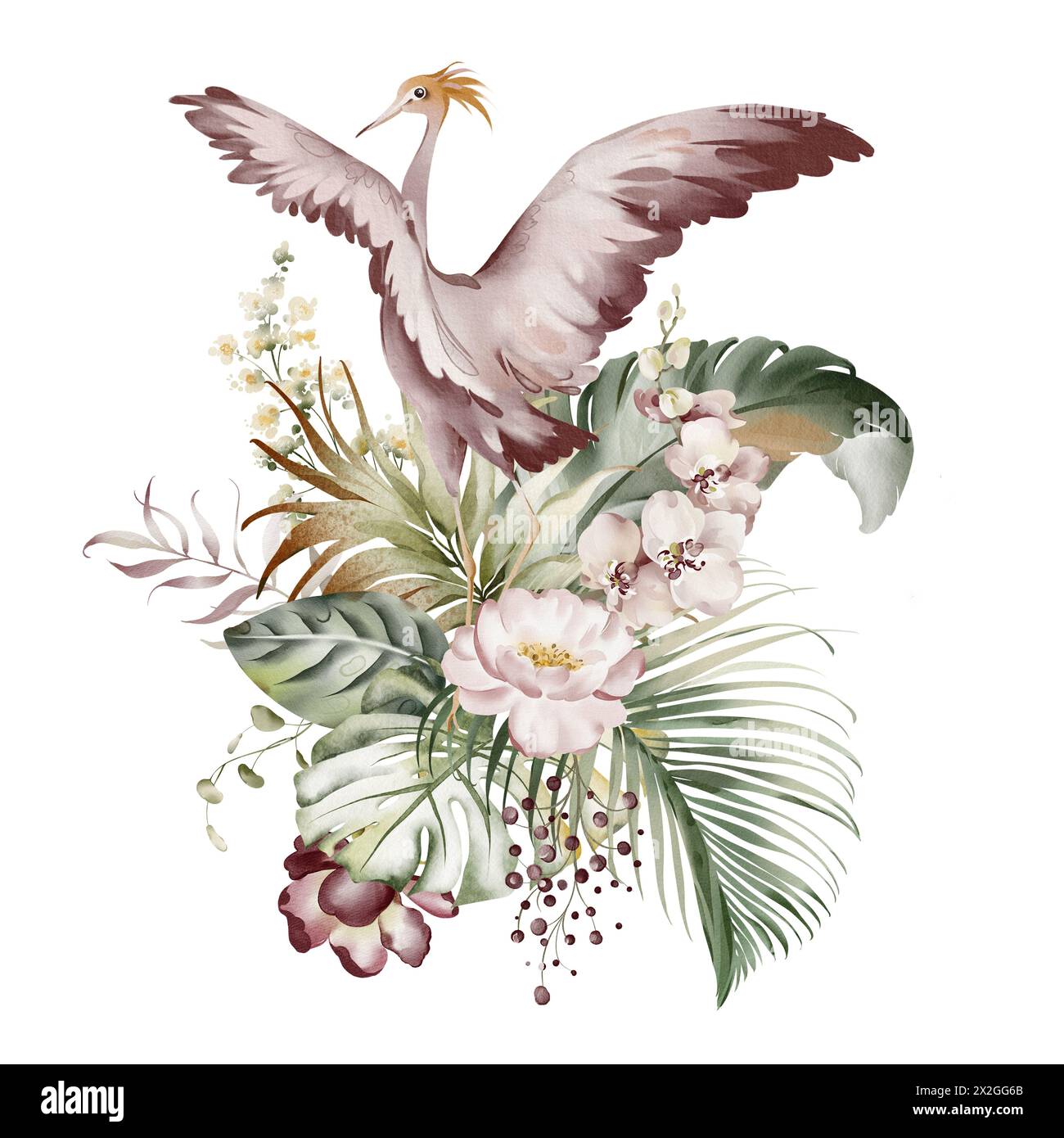 Pink ibis with tropical flowers and leaves. Watercolor illustration of ...