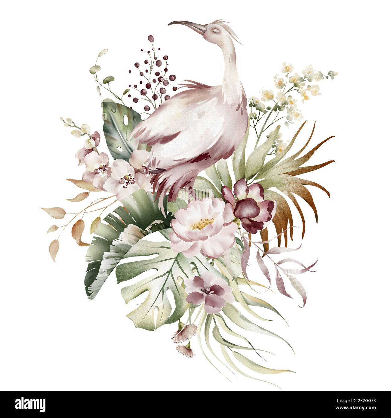 Pink ibis with tropical flowers and leaves. Watercolor illustration of ...
