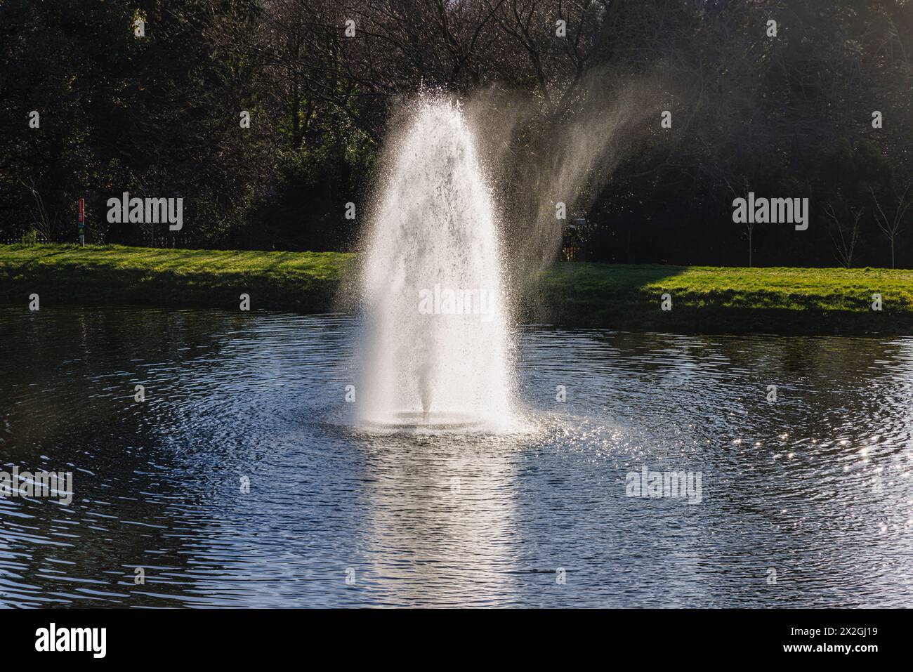 Fountain in Clear Lake in RHS Garden Wisley, in winter, backlit by ...