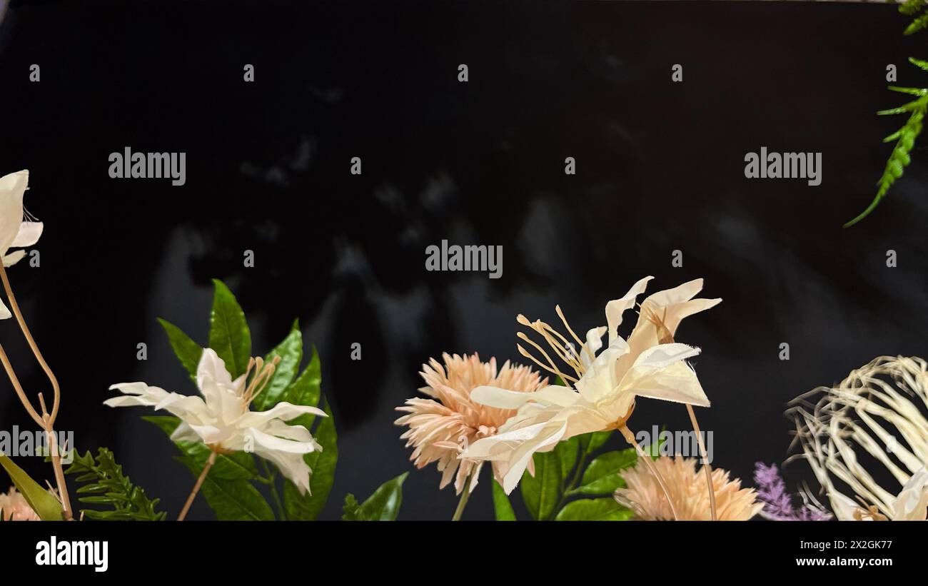 Longstems hi-res stock photography and images - Alamy