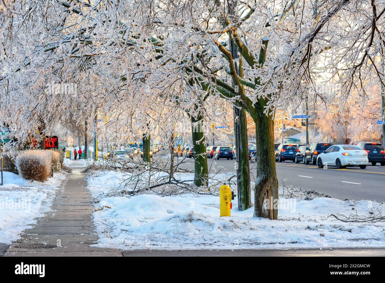 Freezing rain trees hi-res stock photography and images - Alamy