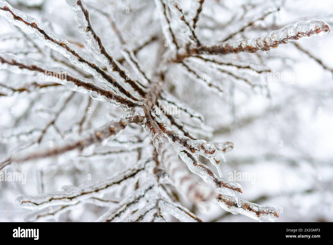 Meteorology phenomenom hi-res stock photography and images - Alamy