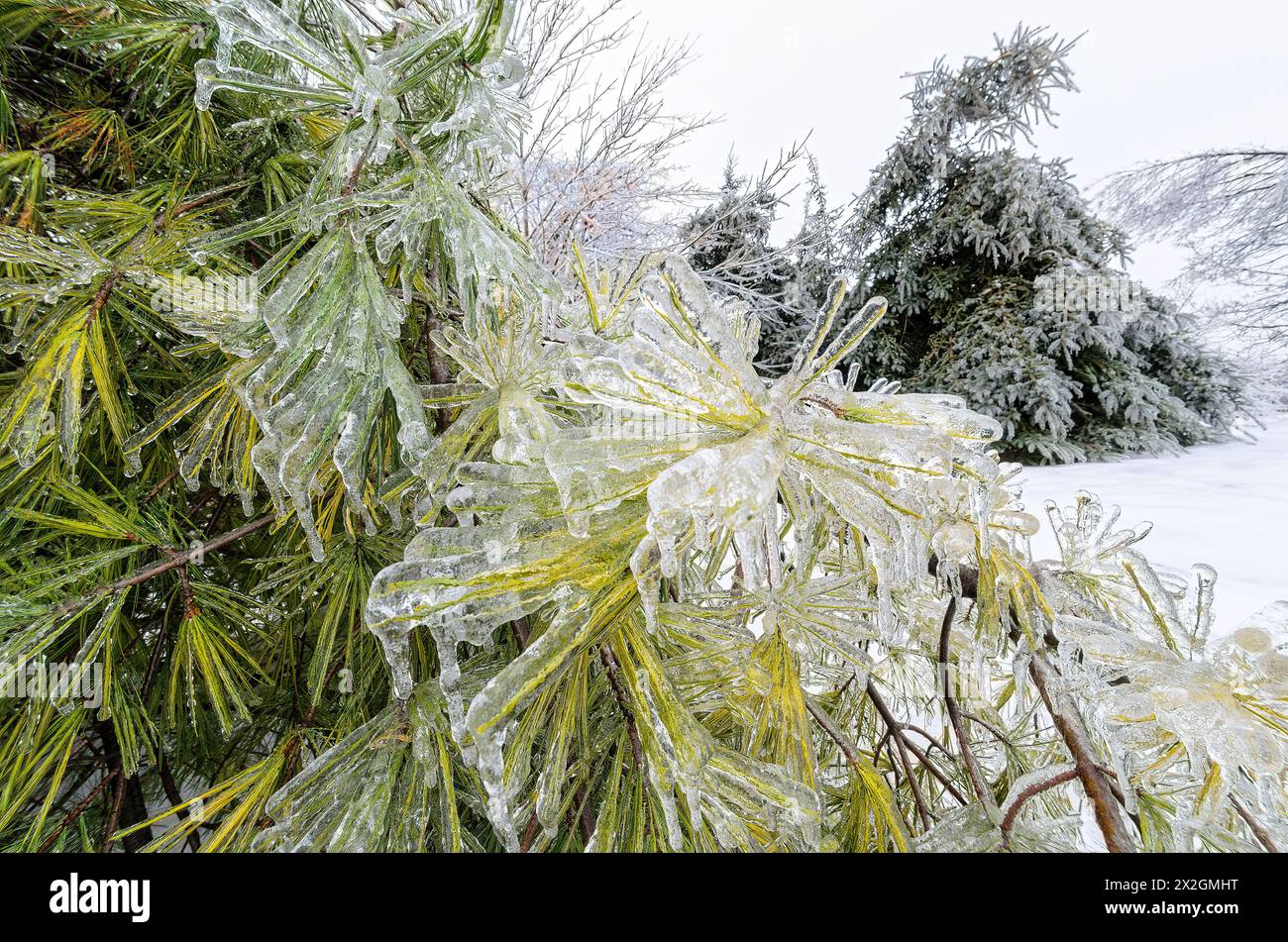 Toronto freezing rain hi-res stock photography and images - Alamy