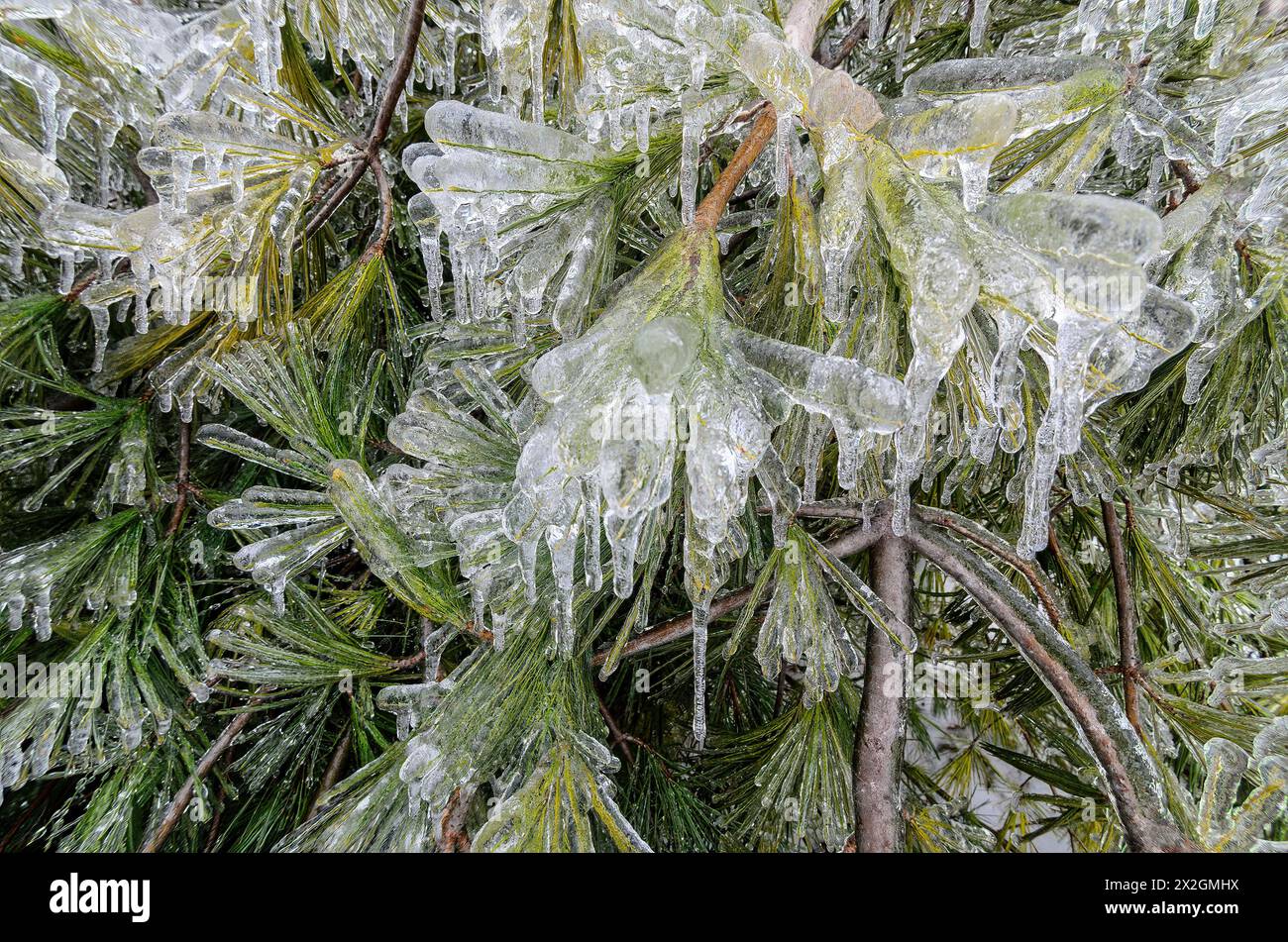 Toronto freezing rain hi-res stock photography and images - Alamy