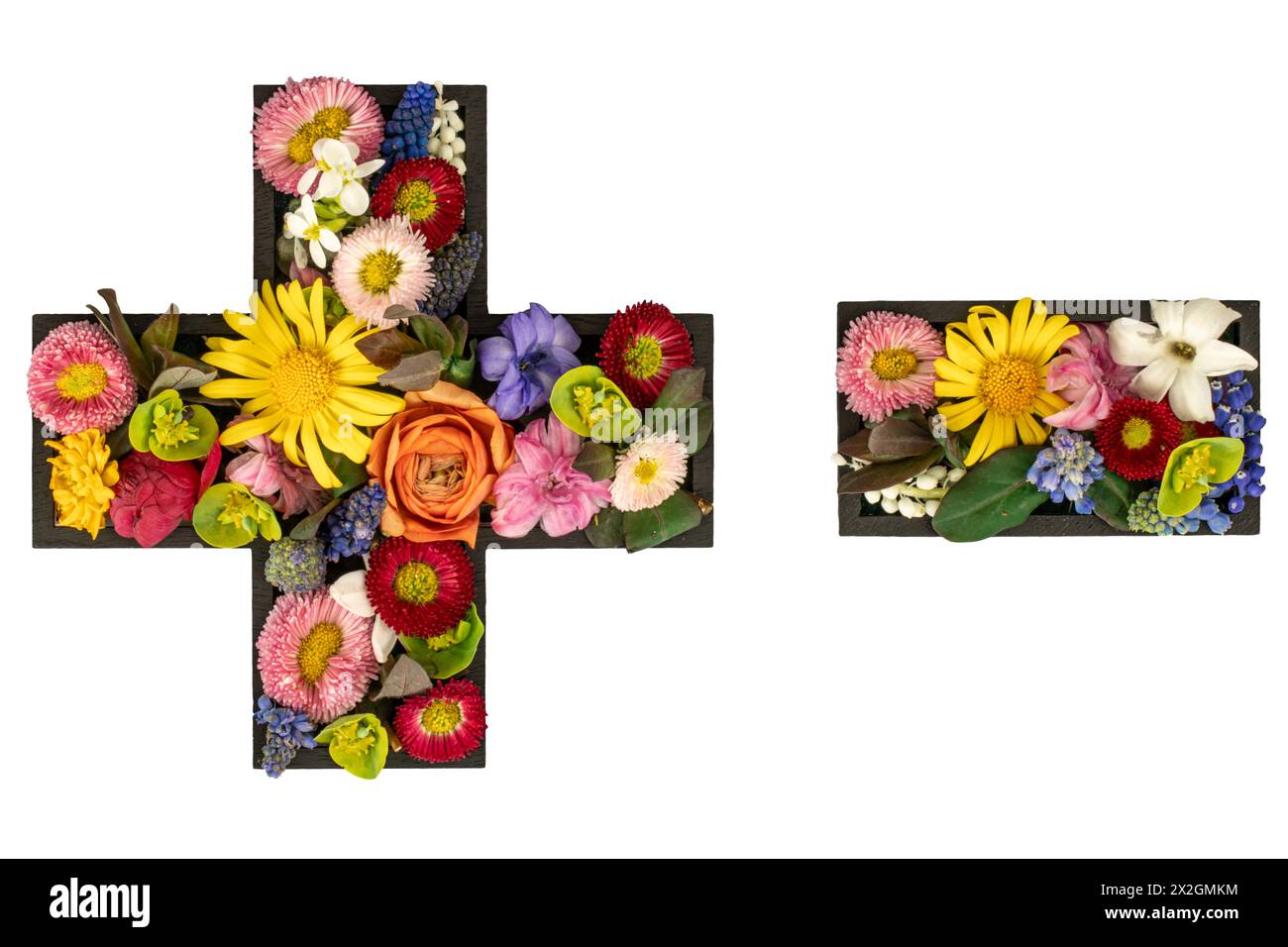 Plus and minus sign marks made of real natural flowers and leaves on ...