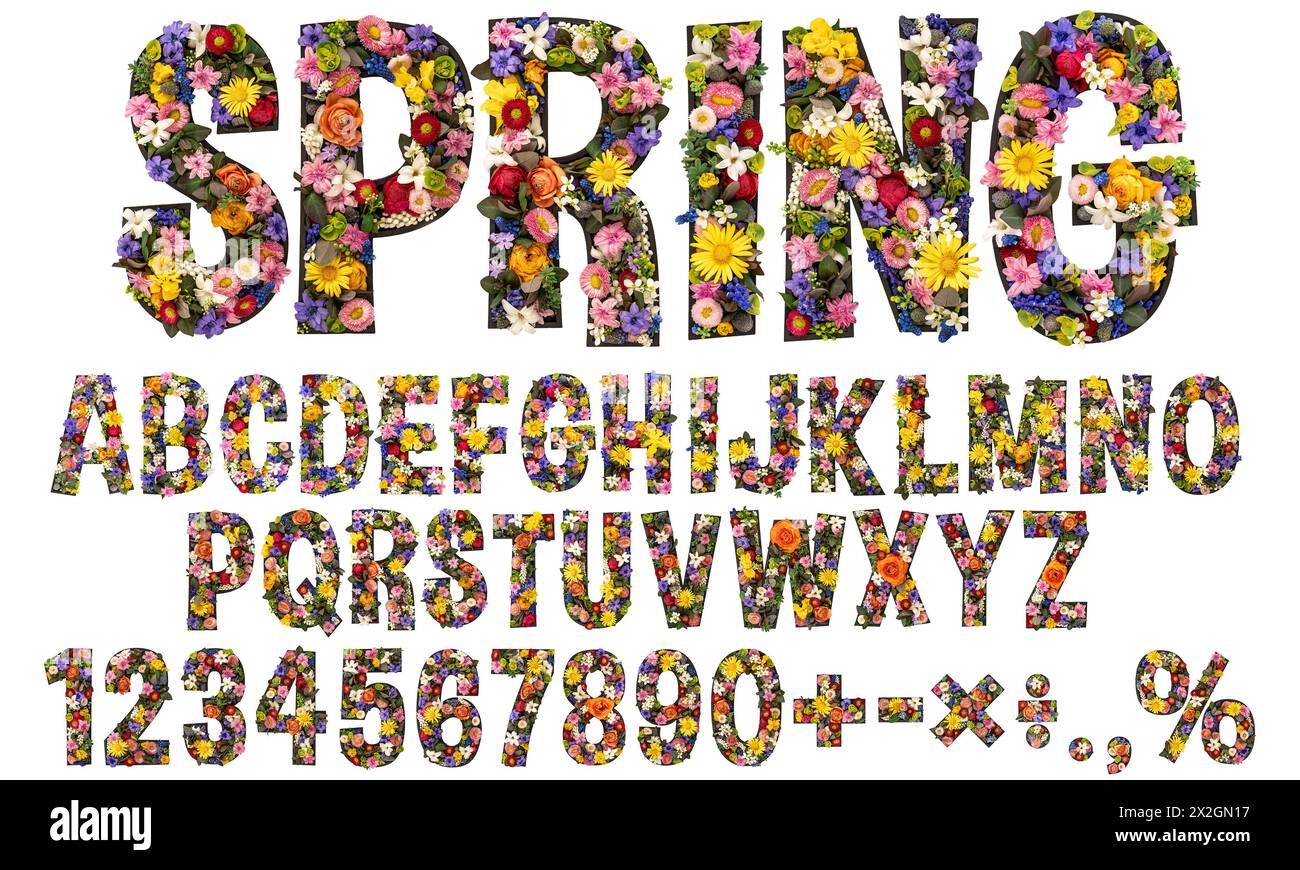 Flower font, a spring alphabet from real living flowers with a white ...