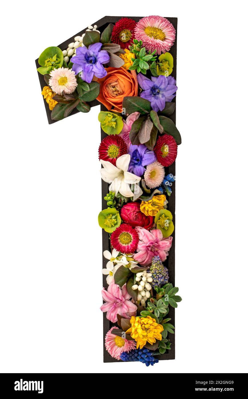Number 1 made of real natural flowers and leaves on white background ...
