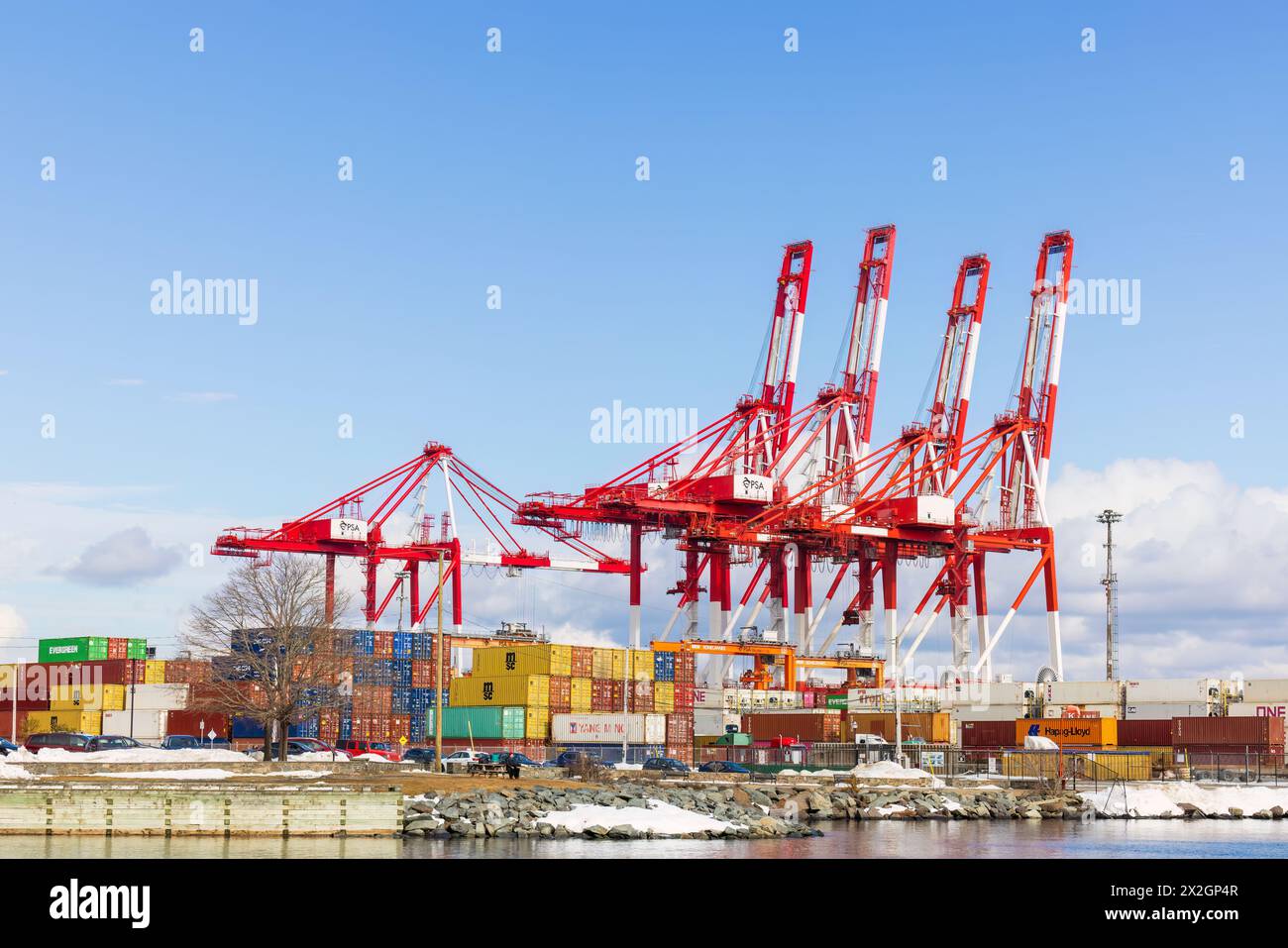 60807-00306 Cranes at Port of Halifax PSA Atlantic Hub Halifax, NS ...