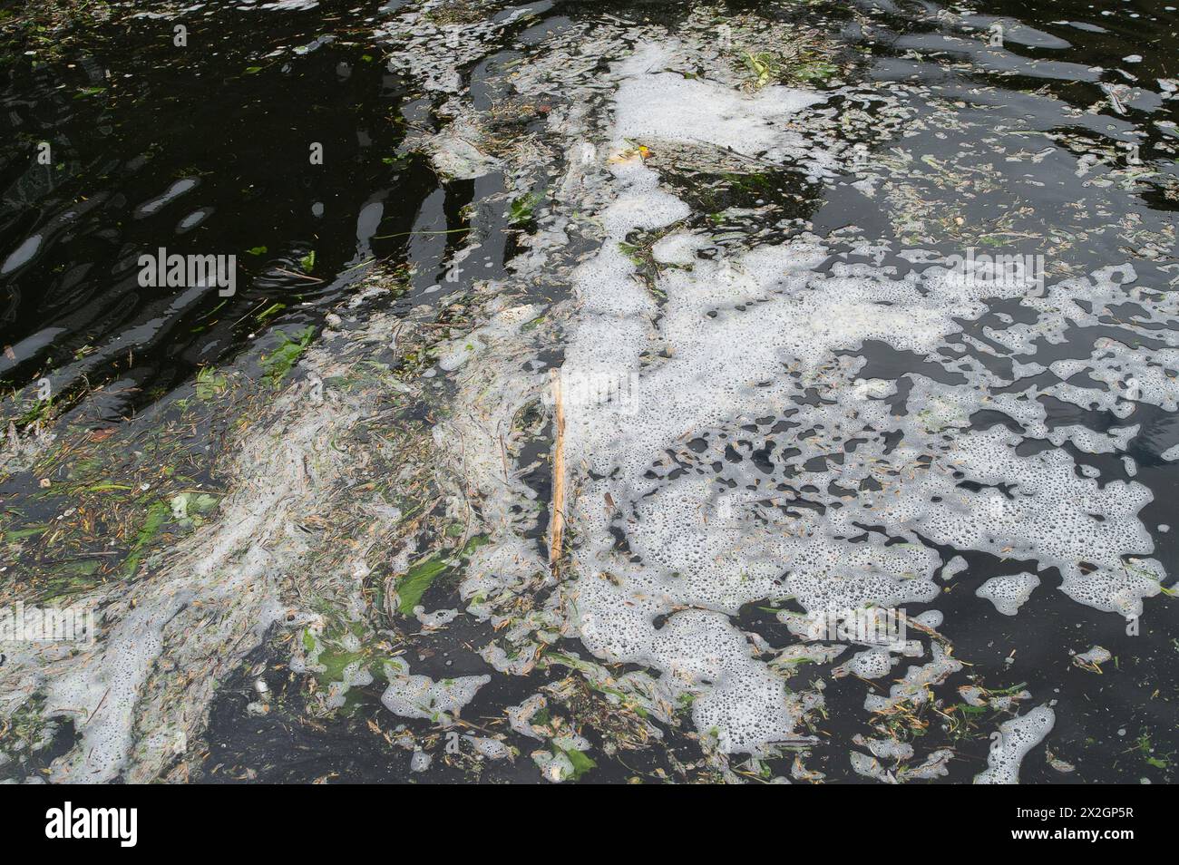 Pollution of inland waterways hi-res stock photography and images - Alamy